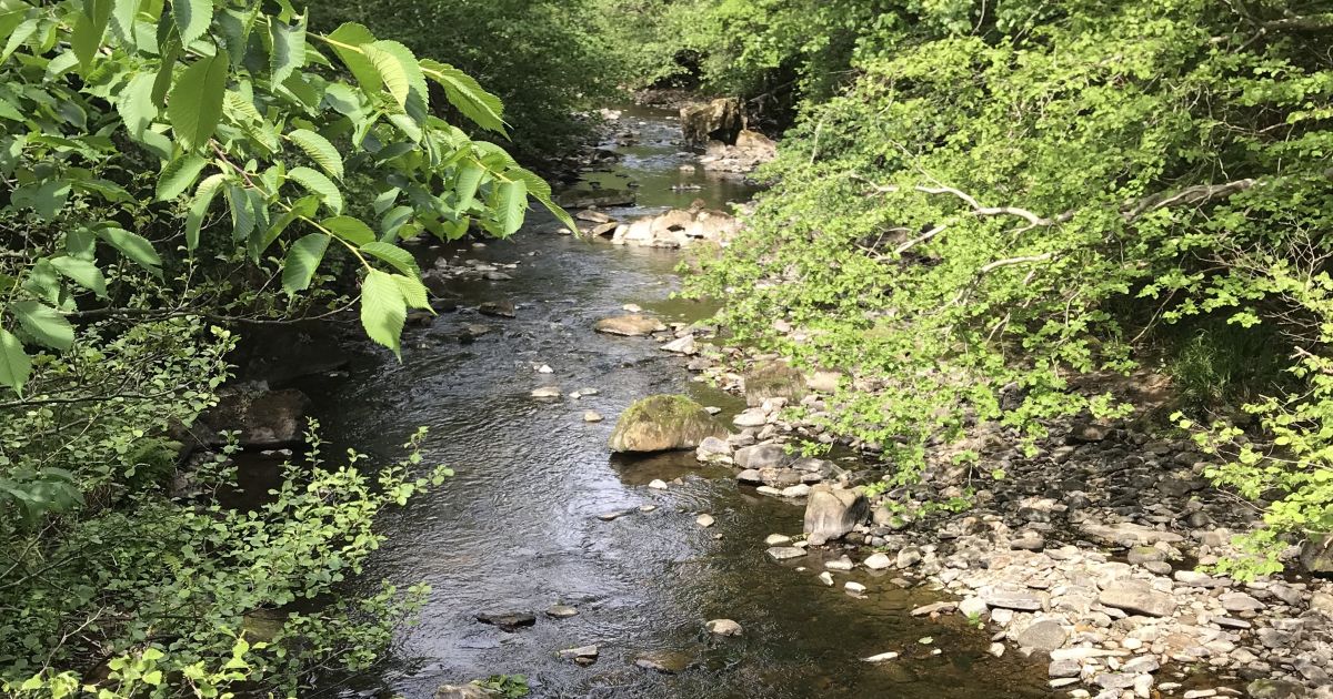 Whitley Chapel - south circular - Ramblers